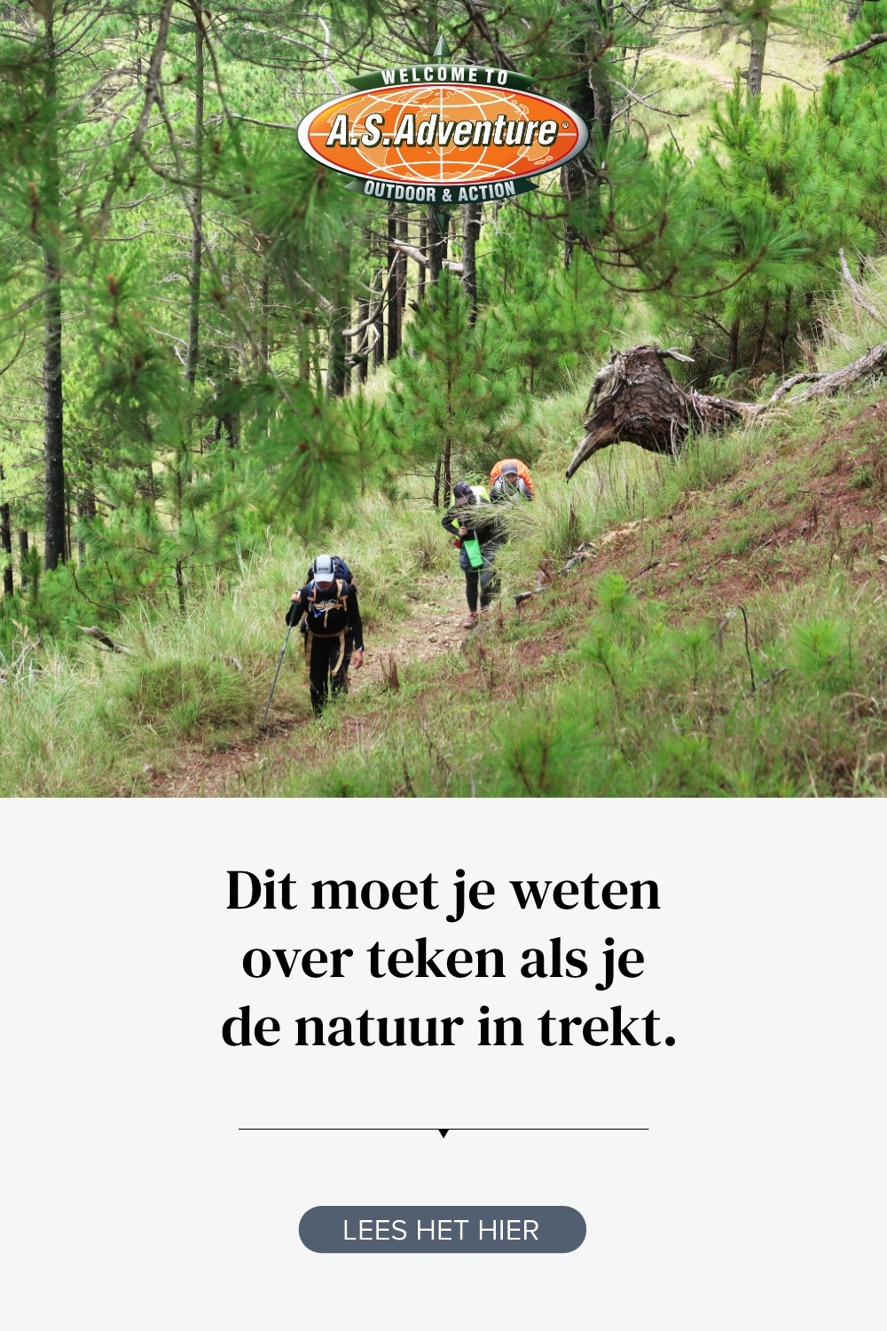 Alles wat je moet weten over teken | A.S.Adventure