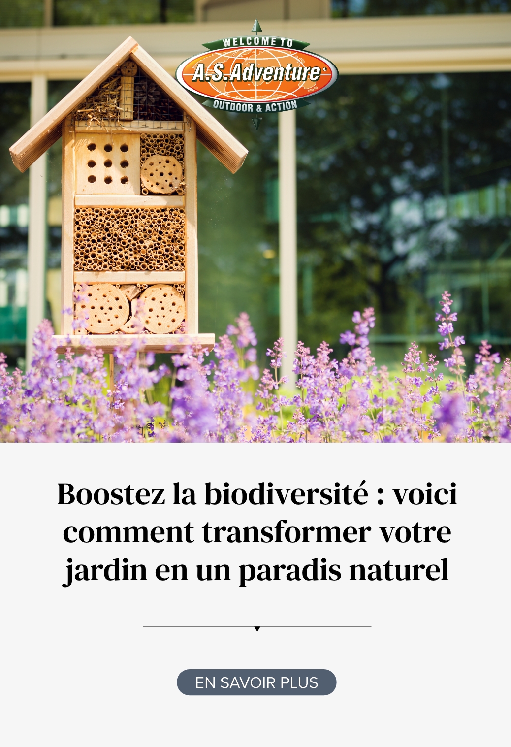 Envie d’avoir plus de vie dans votre jardin ? Voici 9 conseils pour ...