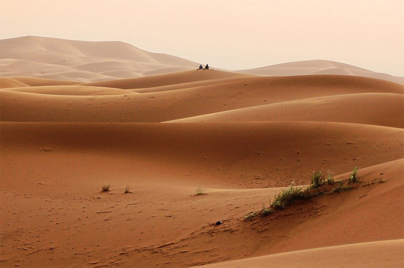 Op reis door de woestijn? Zo ben je voorbereid! | A.S.Adventure