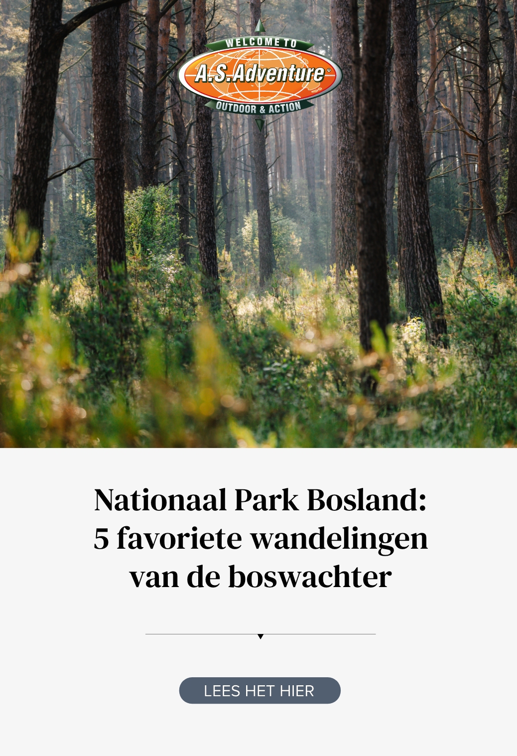 Nationaal Park Bosland: het grootste natuurmassief van Vlaanderen | A.S ...